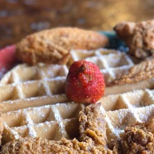 TREEBEARDS - 172 Photos & 244 Reviews - Cajun/Creole - 1117 Texas St ...