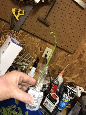 GURNEY’S SEED & NURSERY - Updated July 2024 - 45 Photos & 239 Reviews ...