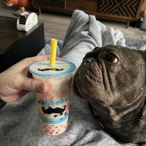 MR BOBA - 276 Photos & 254 Reviews - Bubble Tea - 3805 W 6th St, Los ...