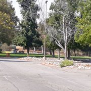 GLEN HELEN REGIONAL PARK - 106 Photos & 26 Reviews - Kids Activities ...