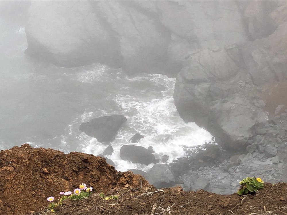 FORT CRONKHITE - 100 Photos & 31 Reviews - Parks - Golden Gate National ...