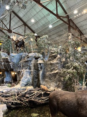 BASS PRO SHOPS - Updated January 2026 - 137 Photos & 145 Reviews - 1 ...