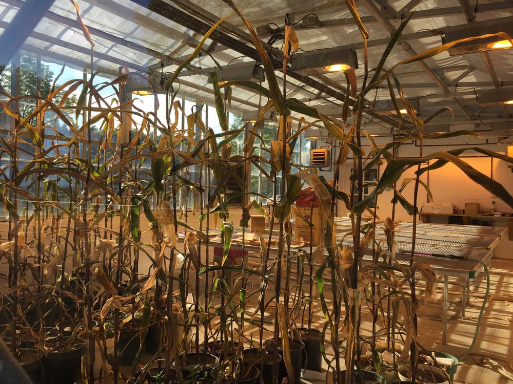 THE NATURE CONSERVANCY - Updated May 2025 - 250 Lawrence Hill Rd, Cold ...