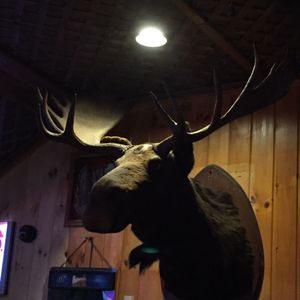 THE WILDERNESS LODGE - 62 Photos & 12 Reviews - 20 Jack Pine Cir ...