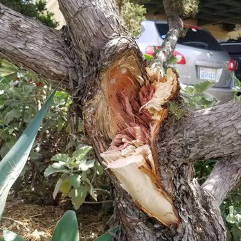 DIAMOND CONCRETE - Updated December 2025 - 45 Photos & 14 Reviews ...