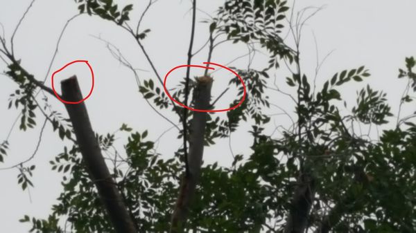 ANDRE LANDSCAPE SERVICE - Updated January 2026 - 26 Photos & 41 Reviews ...