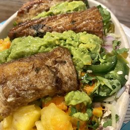 JAVA BURRITO COMPANY - Updated July 2024 - 364 Photos & 830 Reviews ...