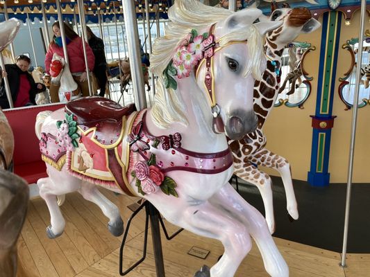 CAROL ANN’S CAROUSEL - Updated October 2025 - 65 Photos & 24 Reviews ...