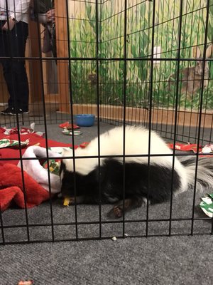 WILDLIFE IN NEED CENTER - Updated October 2025 - 10 Photos - W349S1480 ...