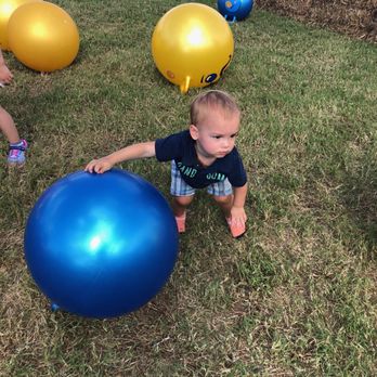 DENVER DOWNS FARM - Updated November 2025 - 71 Photos & 23 Reviews ...