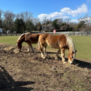 FRYING PAN FARM PARK - 251 Photos & 82 Reviews - 2709 W Ox Rd, Herndon ...