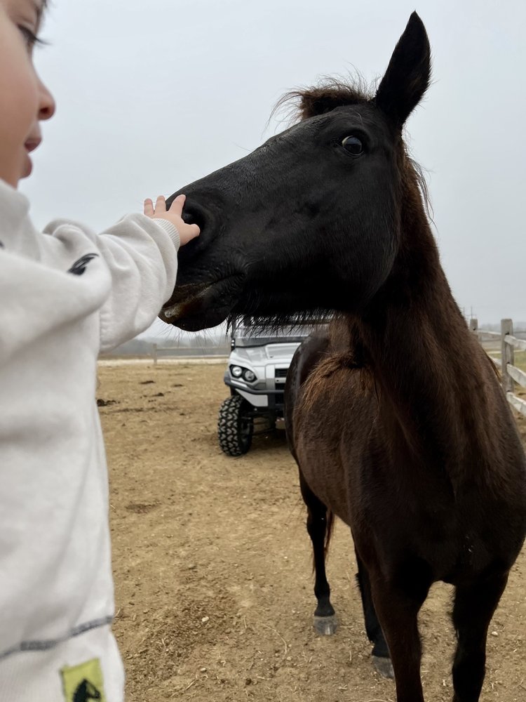 BLUE HILLS RANCH - 74 Photos & 14 Reviews - 2032 Blue Cut Rd N ...