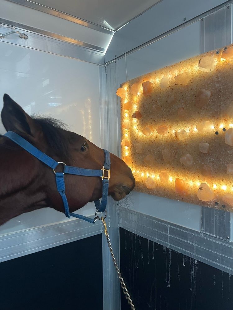 EQUINE EQUILIBRIUM - Updated December 2025 - Request Information - Milton, Ontario - Holistic ...