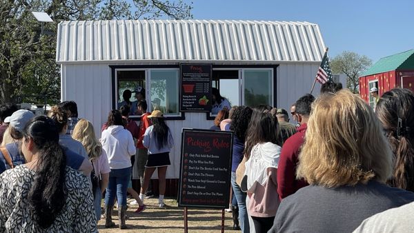 PECAN CREEK STRAWBERRY FARM - Updated December 2025 - 69 Photos & 22 ...