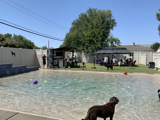 THE ANIMAL DEN - Updated August 2024 - 130 Photos & 199 Reviews - 4060 ...