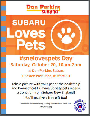 DAN PERKINS SUBARU - Updated December 2025 - 32 Photos & 148 Reviews ...