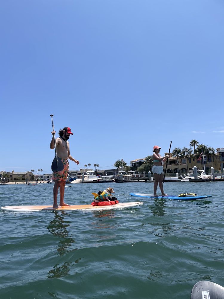 PADDLE BOARD NEWPORT BEACH - Updated July 2025 - 147 Photos & 417 ...