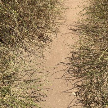 STOCKER CORRIDOR TRAIL - Updated October 2025 - 55 Photos & 28 Reviews ...