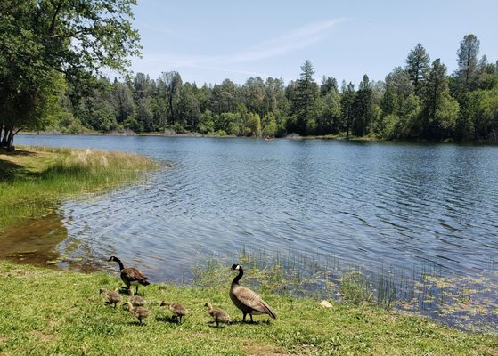 FINNON LAKE RECREATION AREA - Updated May 2024 - 43 Photos & 24 Reviews ...