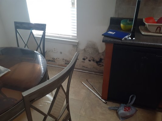 UNIVERSAL PROPERTY & CASUALTY INSURANCE COMPANY - Updated January 2026 ...