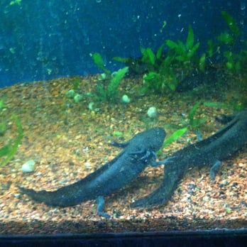 PREUSS PETS - Updated June 2024 - 65 Photos & 69 Reviews - 1127 N Cedar ...