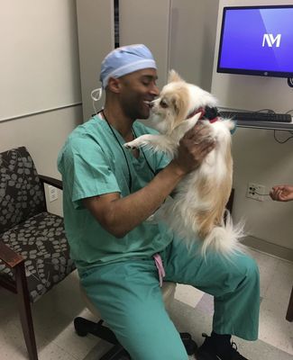 MARCO ELLIS, MD - Updated December 2025 - 27 Photos & 11 Reviews - 259 ...