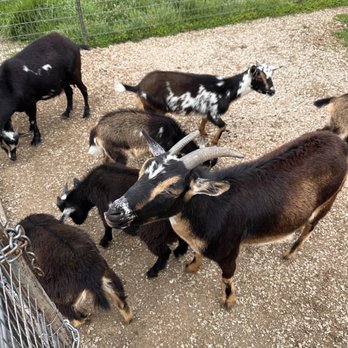 WILSTEM - Updated September 2024 - 280 Photos & 72 Reviews - 4229 W US ...