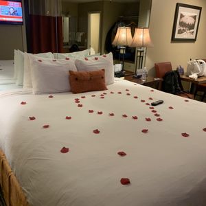 POSTMARC HOTEL & SPA SUITES - 420 Photos & 508 Reviews - 3696 Lake ...