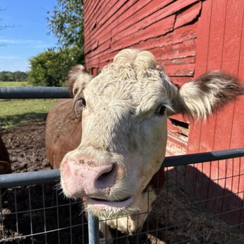 SCHAEFER FARMS - Updated December 2025 - 118 Photos & 33 Reviews - 1051 ...