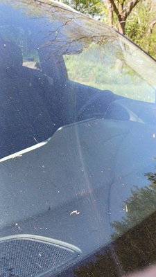 GROTE AUTOMOTIVE - Updated October 2025 - 3102 Builder Dr, Lafayette ...