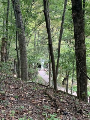 DUNBAR CAVE STATE PARK - 259 Photos & 62 Reviews - 401 Old Dunbar Cave ...