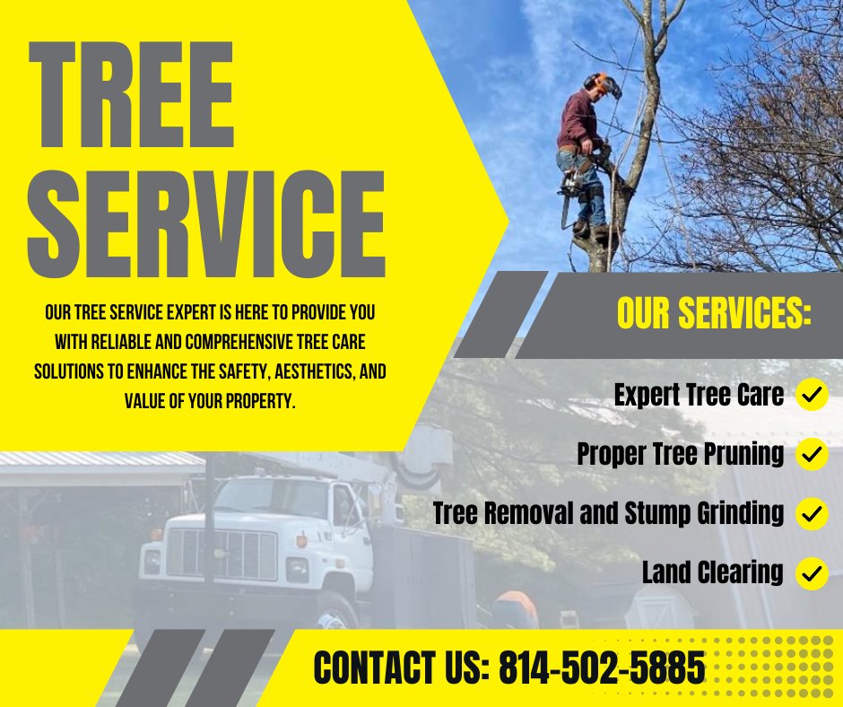 PRECISION TREE SERVICE, ALT - Updated August 2025 - Request a Quote ...
