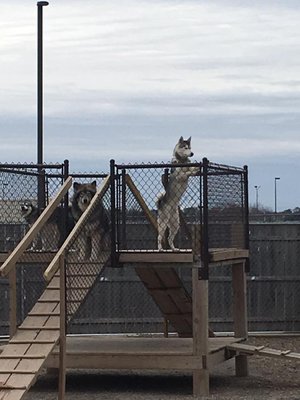 HOUND AROUND RESORT - Updated December 2025 - 29 Photos & 25 Reviews ...