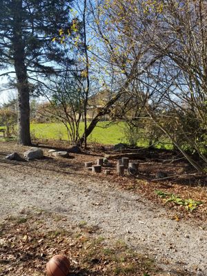 BOSTON NATURE CENTER & WILDLIFE SANCTUARY - 32 Photos - 500 Walk Hill ...