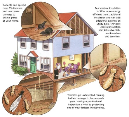PACIFIC COAST TERMITE - Updated December 2025 - 61 Photos & 446 Reviews ...