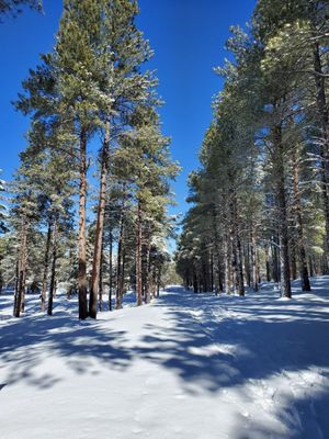 FORT TUTHILL COUNTY PARK - Updated September 2025 - 56 Photos & 36 ...