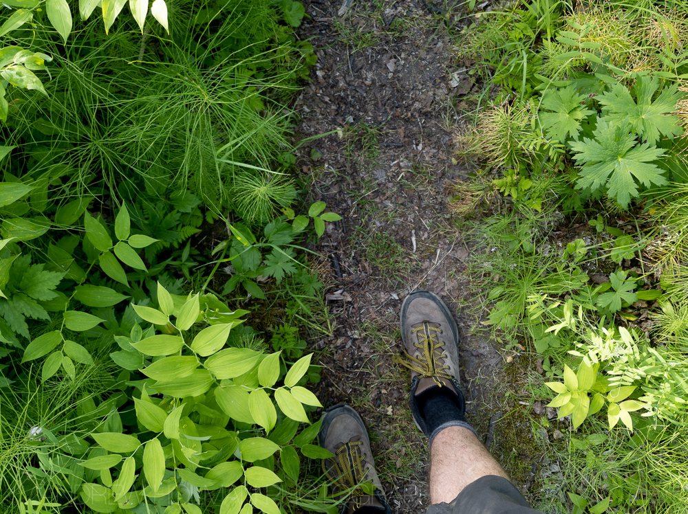 DUMPLING MOUNTAIN TRAIL - Updated March 2024 - 18 Photos - King Salmon ...