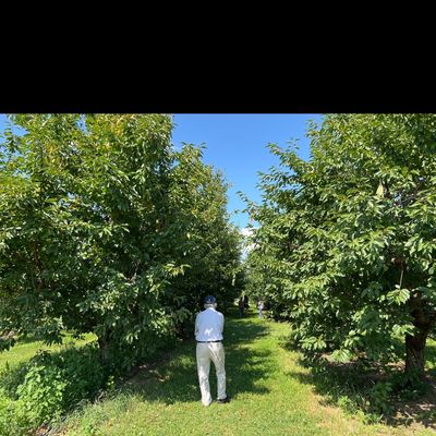 SAMASCOTT ORCHARDS - Updated September 2025 - 61 Photos & 70 Reviews ...