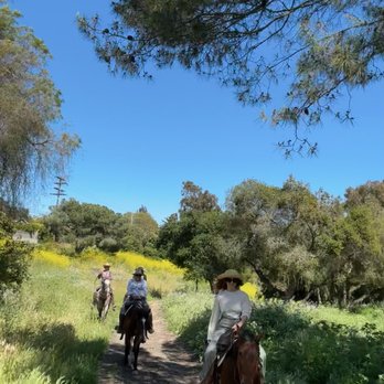PALOS VERDES HORSE RENTALS with photos - Updated August 2024 - 133 ...