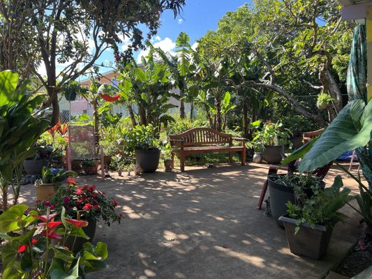 SURF CAT RANCH - MAUI CAT SANCTUARY - Updated October 2025 - 13 Photos ...