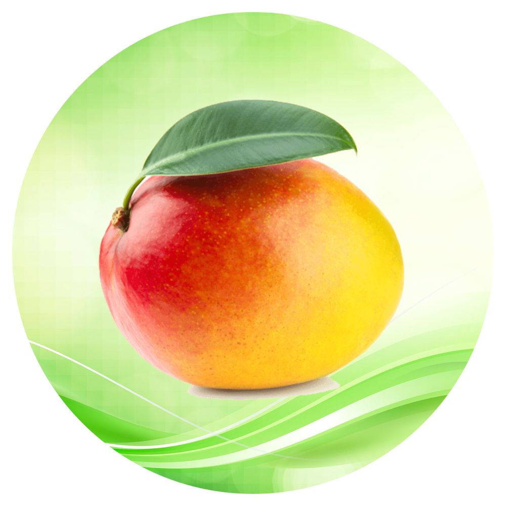 MANGO-DO KARATE - West Hartford, Connecticut - Karate - Phone Number - Yelp