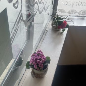 VICTORIA PASTRY - Updated December 2025 - 927 Photos & 778 Reviews ...