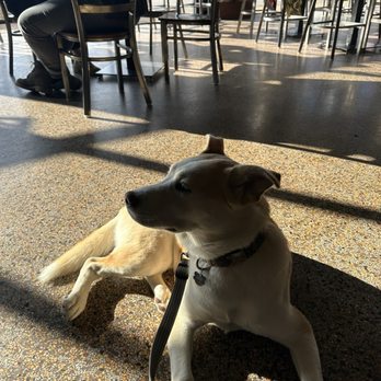 FERMATA BREWING - Updated November 2024 - 68 Photos & 17 Reviews - 918 ...