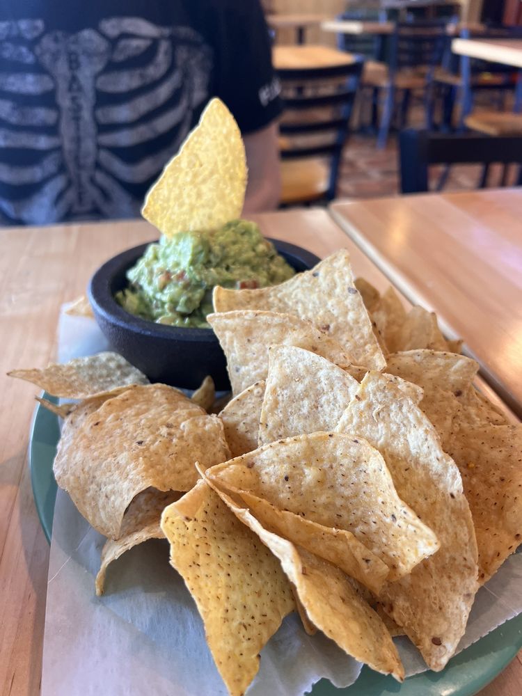 CACTUS GRILL - Updated August 2025 - 52 Photos & 86 Reviews - 315 ...