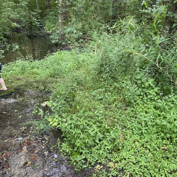 GODS ACRE HEALING SPRINGS - Updated June 2025 - 110 Photos & 22 Reviews ...