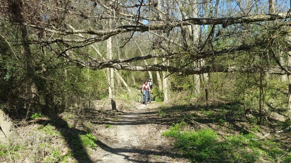 COMITE RIVER PARK - Updated April 2026 - 29 Photos - 8900 Hooper Rd ...