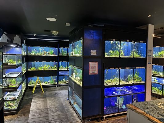 THE REEF AQUARIUM SHOP - Updated December 2025 - 133 Photos & 83 ...