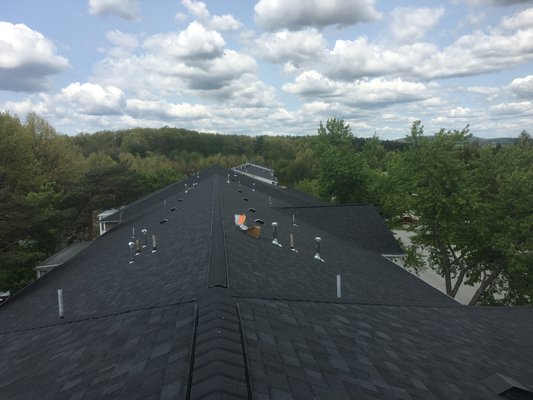 RED DOG’S ROOFING - Updated October 2024 - 36 Photos - 216 Daniels St ...