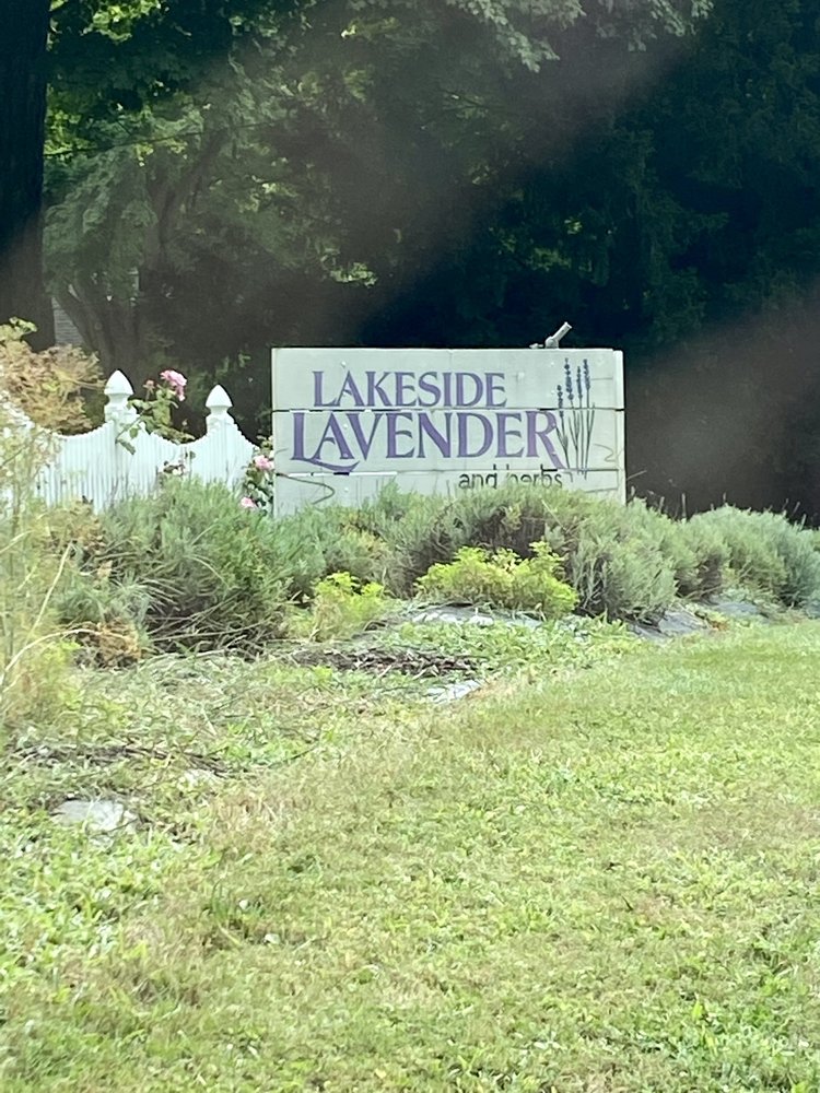LAKESIDE LAVENDER AND HERBS - Updated August 2025 - 273 W Johnson Rd ...