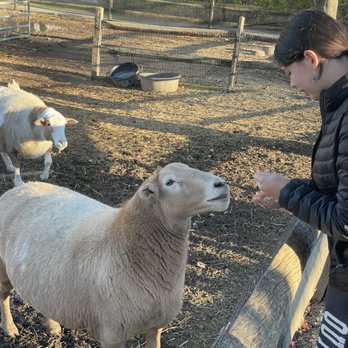 KLEIN FARMS DAIRY & CREAMERY - Updated October 2025 - 163 Photos & 111 ...